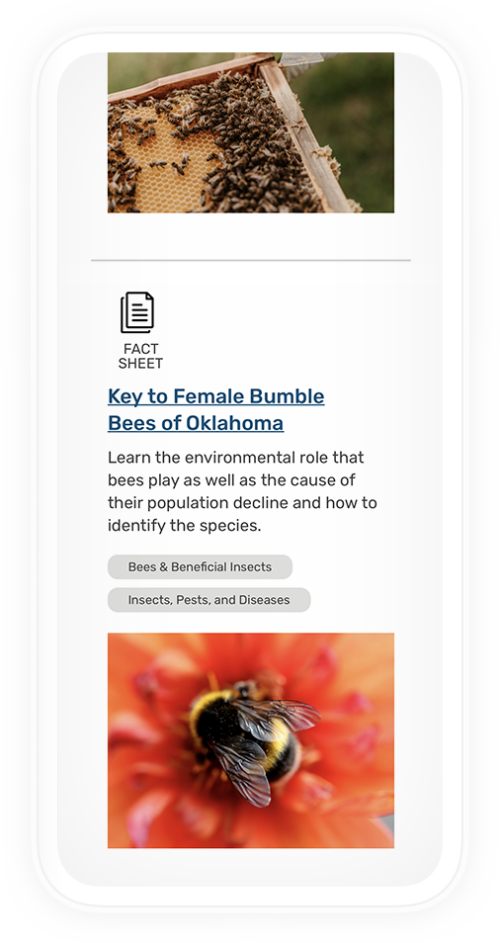 Oklahoma State University Extension - NewCity